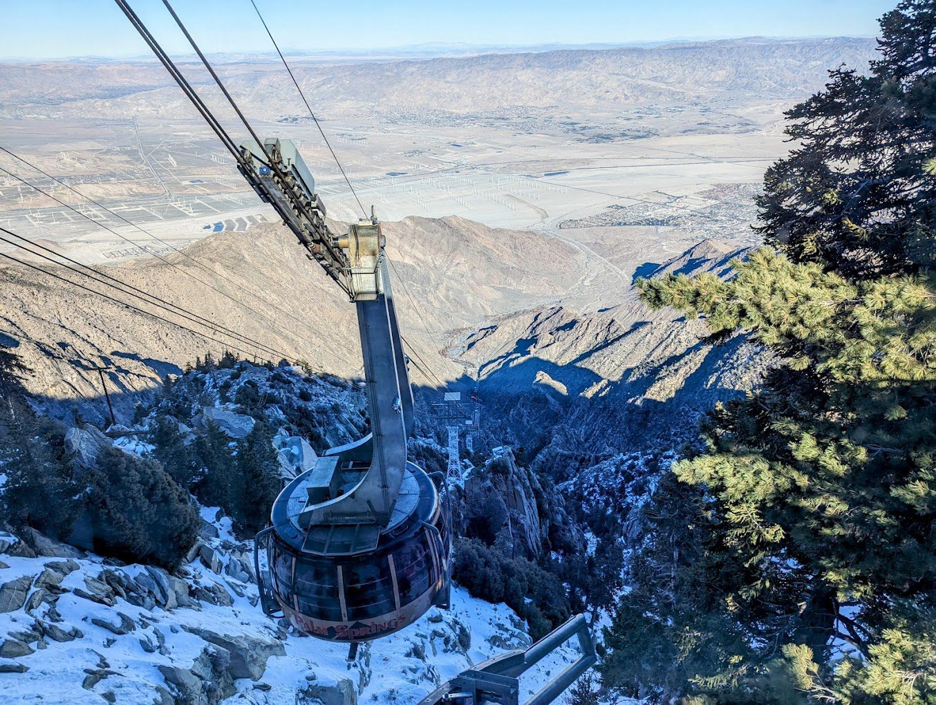 Palm Springs Aerial Tramway - Palm Trees and Floaties